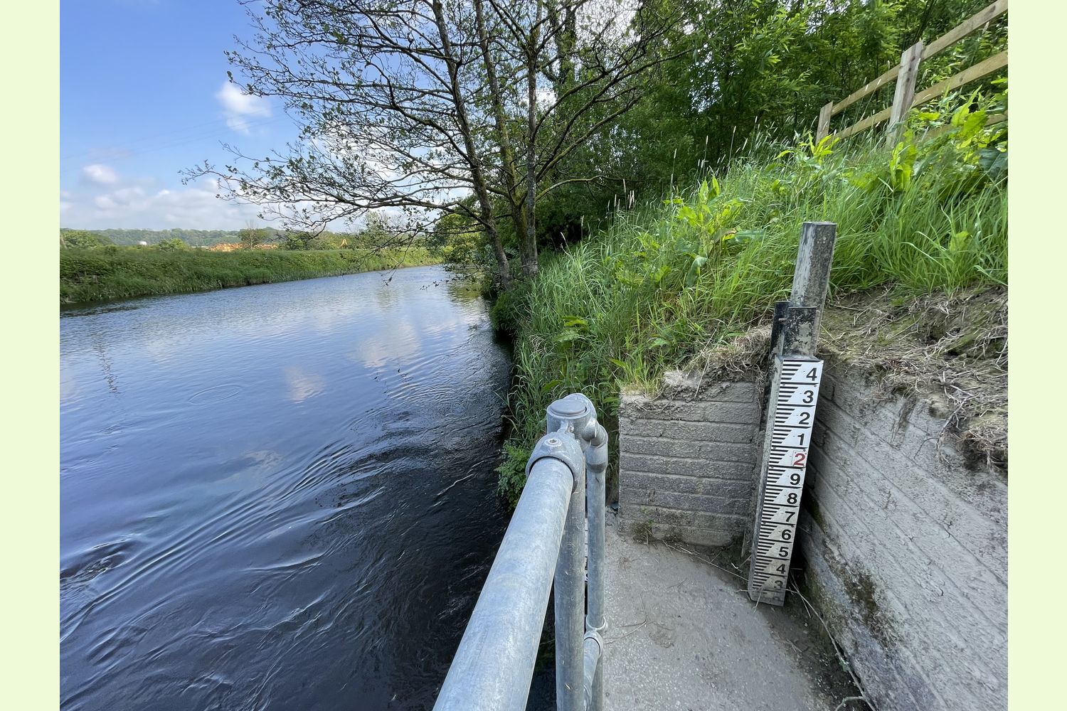 River Teifi Woodlands, Abercych, Pembrokeshire | Wales and the Welsh ...
