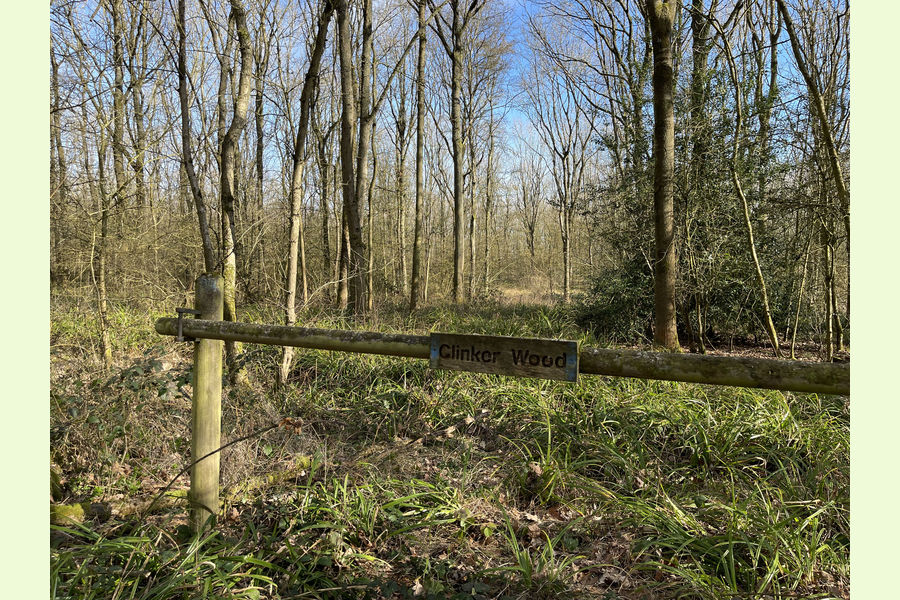 Clinker Wood, Alvechurch, Redditch, Worcestershire | Central England ...
