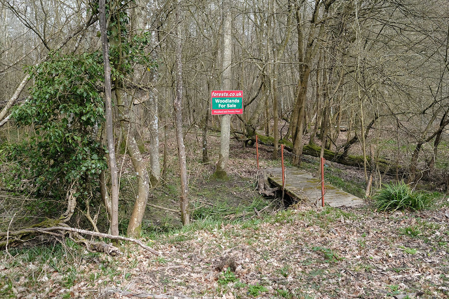 Forest Bank, Pluckley, Kent | South East England | Forests.co.uk