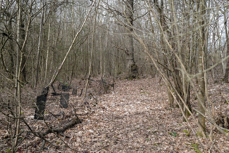 Forest Bank, Pluckley, Kent | South East England | Forests.co.uk