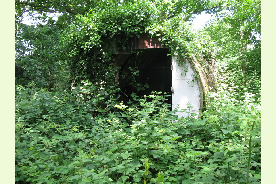 Pit Wood, Ellingham, Suffolk | East Anglia | Forests.co.uk