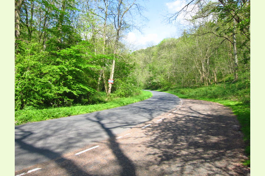 Warrenby Wood, Brantingham Dale, South Cave, East Yorkshire | Northern ...