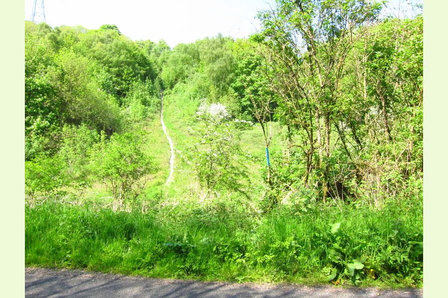 Warrenby Wood, Brantingham Dale, South Cave, East Yorkshire | Northern ...