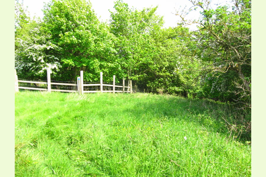 Warrenby Wood, Brantingham Dale, South Cave, East Yorkshire | Northern ...