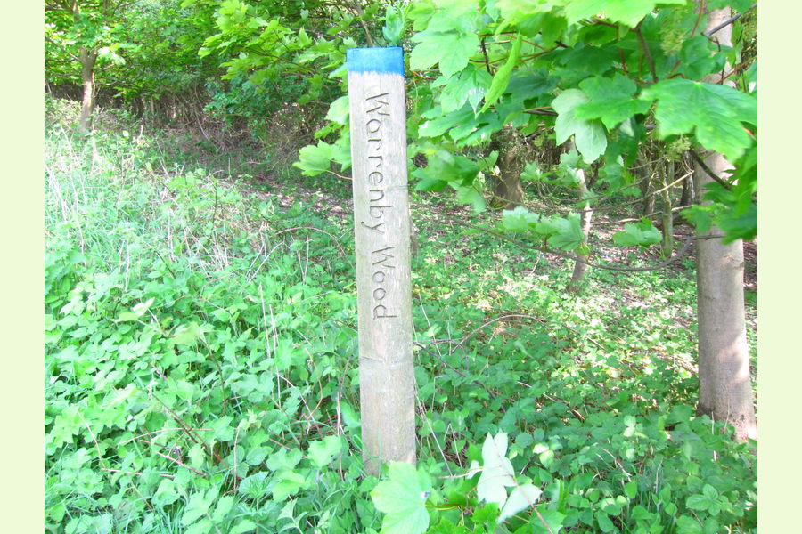 Warrenby Wood, Brantingham Dale, South Cave, East Yorkshire | Northern ...