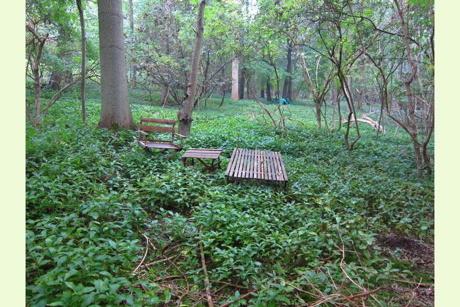 All Saints Wood, Brantingham Dale, Brantingham, East Yorkshire ...