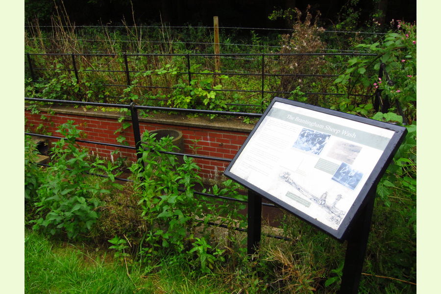 All Saints Wood, Brantingham Dale, Brantingham, East Yorkshire ...