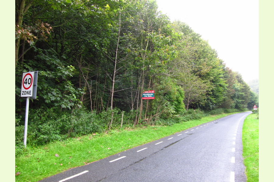 All Saints Wood, Brantingham Dale, Brantingham, East Yorkshire ...