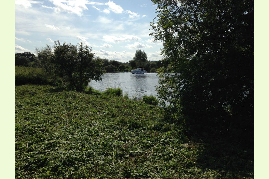 Sallow Meadow, Postwick, near Brundall, Norfolk | East Anglia | Forests ...