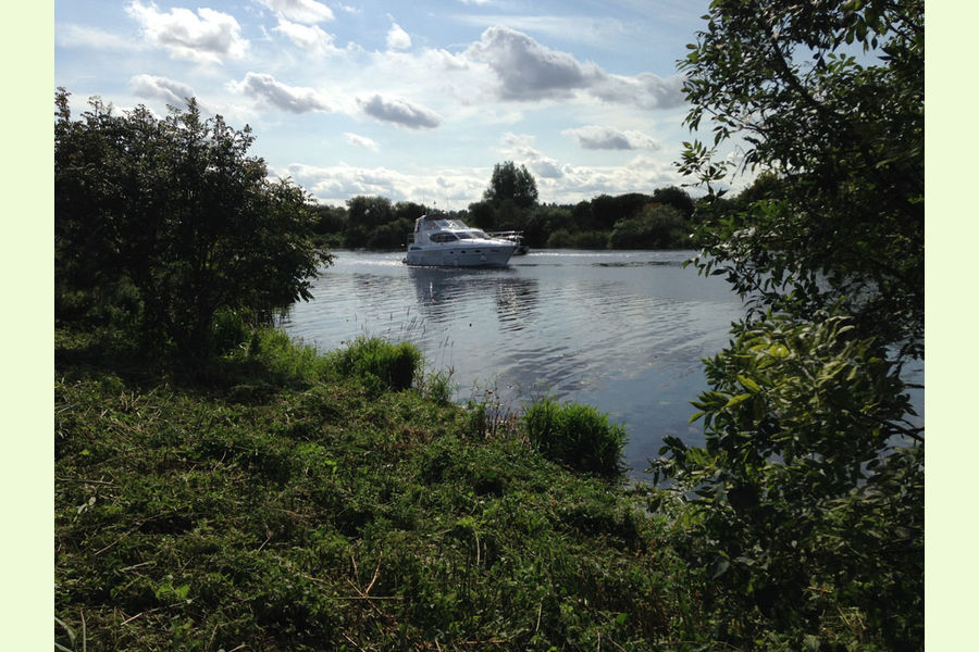 Sallow Meadow, Postwick, near Brundall, Norfolk | East Anglia | Forests ...