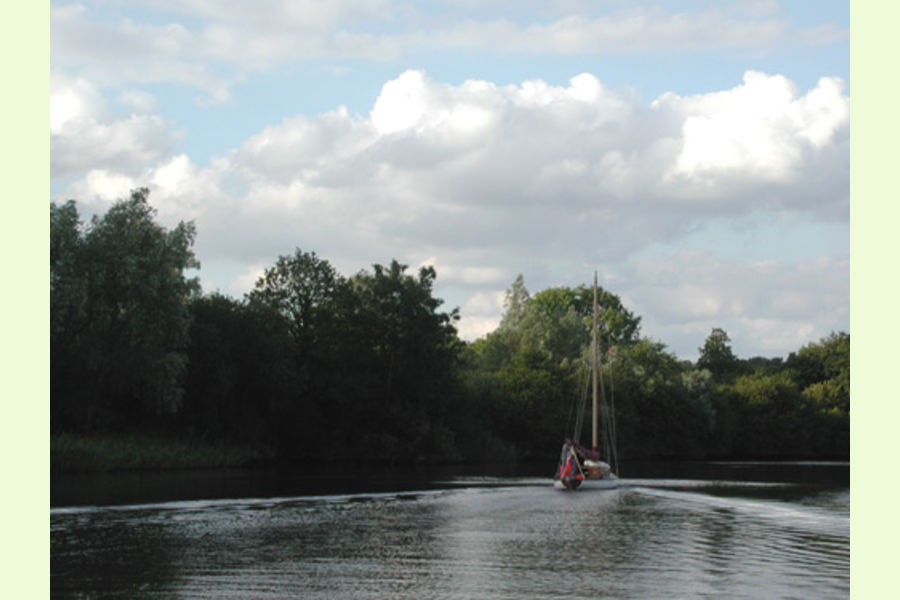 Staithe Wood, Postwick, near Brundall, Norfolk | East Anglia | Forests ...
