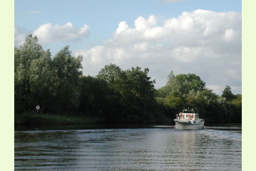Staithe Wood, Postwick, near Brundall, Norfolk | East Anglia | Forests ...