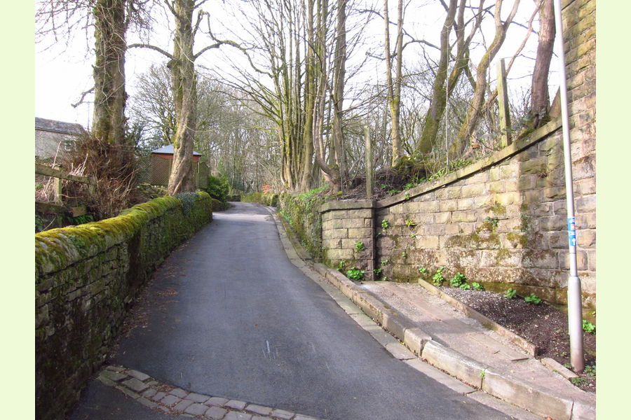 Strongstry Wood, Strongstry, nr Ramsbottom, Bury, Lancashire | Northern ...