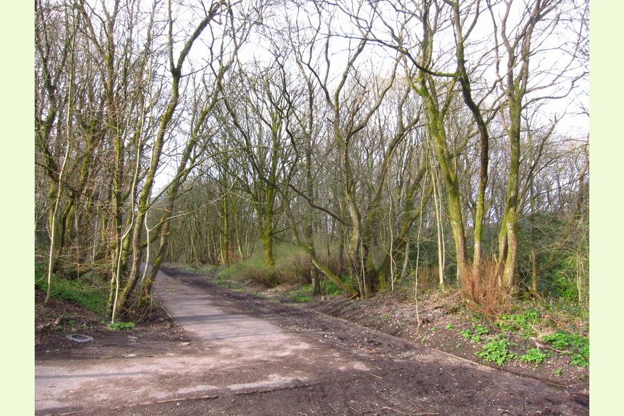Strongstry Wood, Strongstry, nr Ramsbottom, Bury, Lancashire | Northern ...