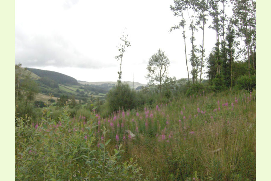 Coed Pandy, Lampeter, Ceredigion, Ffarmers, Lampeter, Ceredigion ...