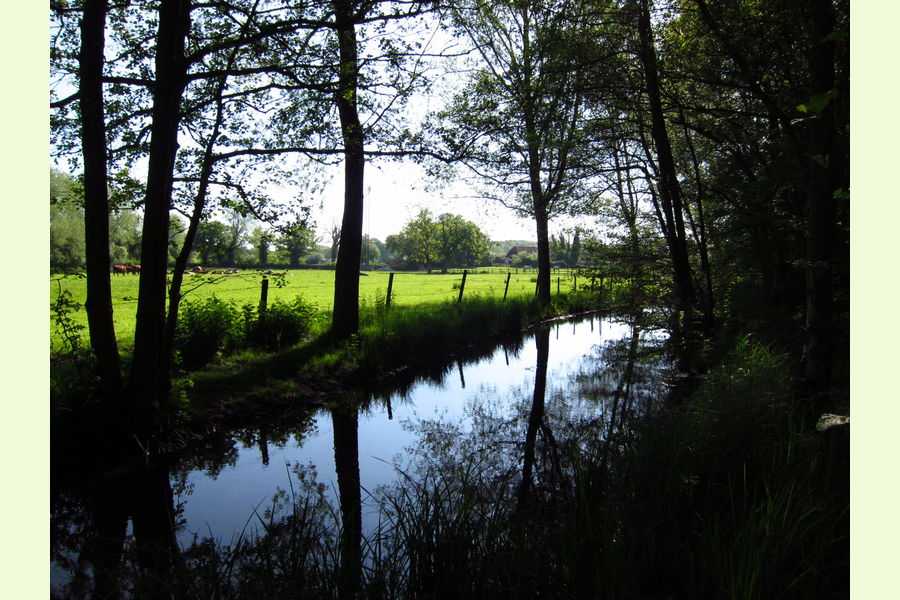 Heron Wood, East Moor, Old Basing, near Basingstoke, Hants | South East ...