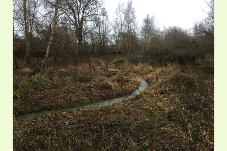 Lark Wood, Whepstead, near Bury St Edmunds, Suffolk | East Anglia ...