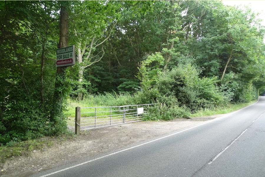 Batcher Wood near Biddenden, Kent, Biddenden, Kent | South East England ...