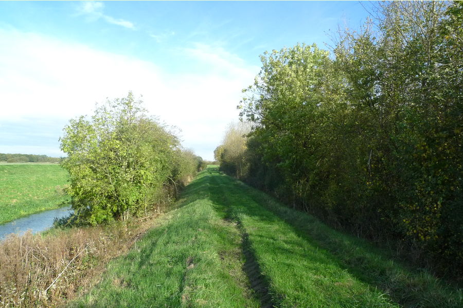 Pike Wood, Harmston, Lincoln, Lincs | Central England | Forests.co.uk