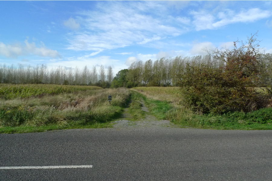 Pike Wood, Harmston, Lincoln, Lincs | Central England | Forests.co.uk