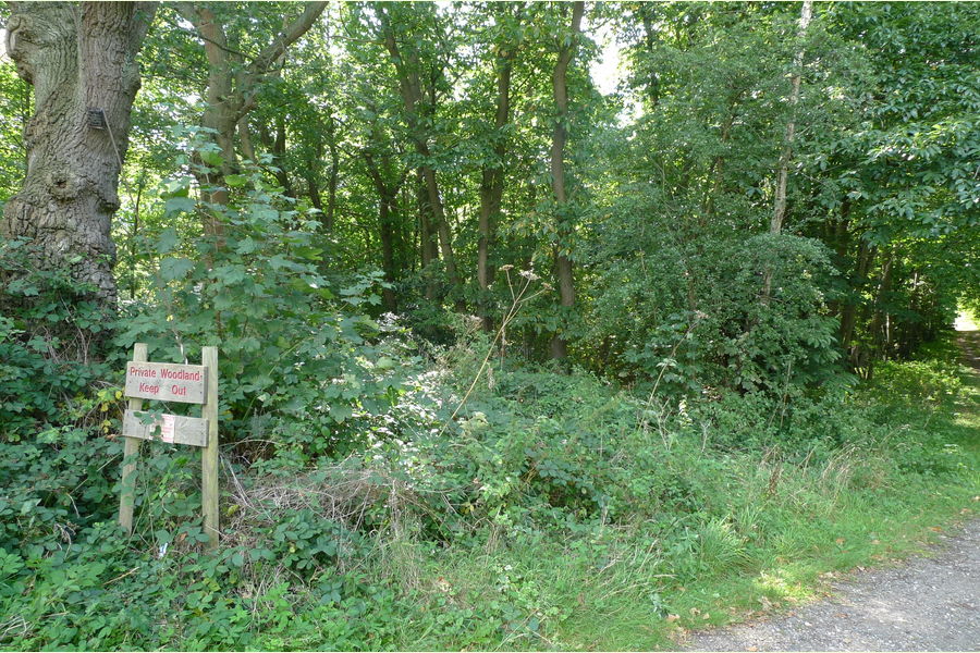 Chaucer Wood and Pickwick Wood, Foxhall, Ipswich, Suffolk | East Anglia ...