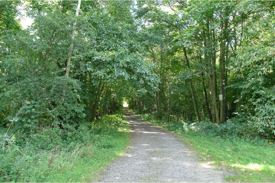 Chaucer Wood and Pickwick Wood, Foxhall, Ipswich, Suffolk | East Anglia ...