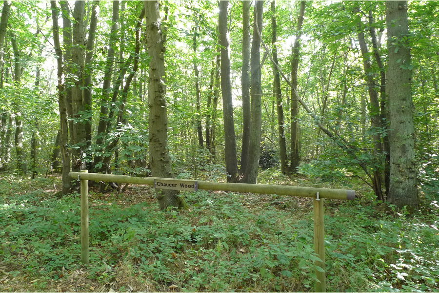 Chaucer Wood and Pickwick Wood, Foxhall, Ipswich, Suffolk | East Anglia ...