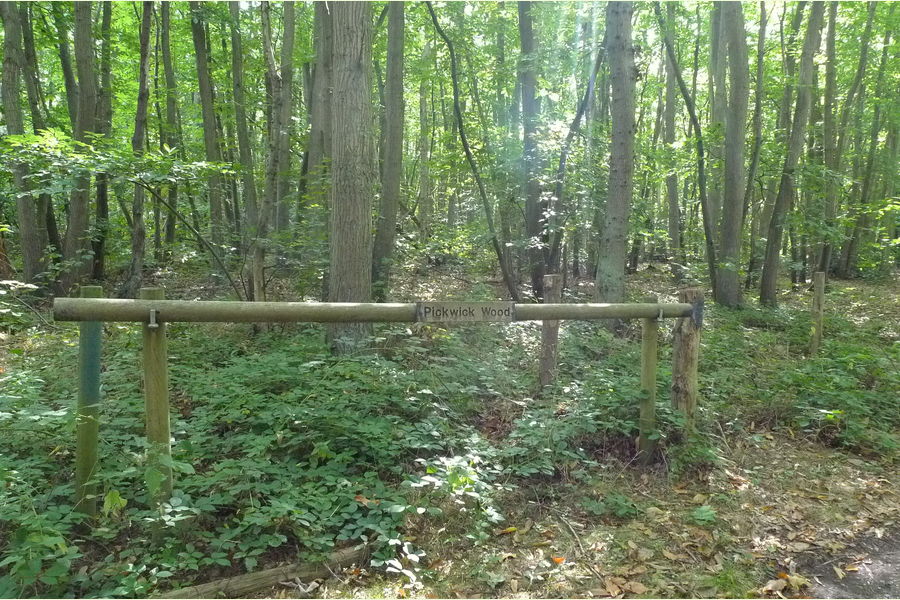 Chaucer Wood and Pickwick Wood, Foxhall, Ipswich, Suffolk | East Anglia ...