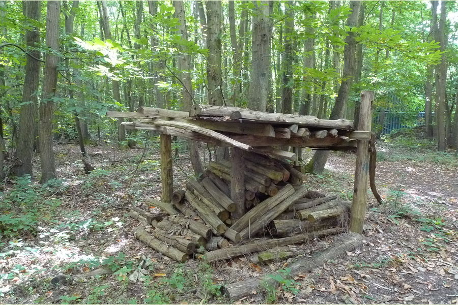 Chaucer Wood and Pickwick Wood, Foxhall, Ipswich, Suffolk | East Anglia ...