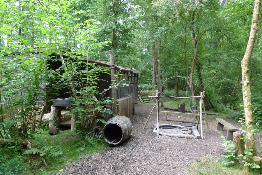 Lyde Wood, near Basingstoke, East Moor, Old Basing, near Basingstoke ...