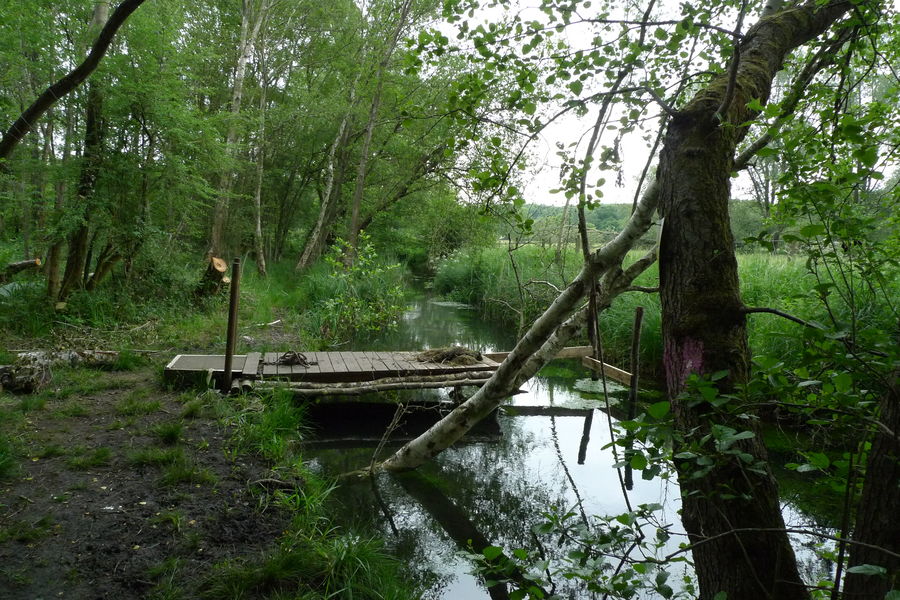Lyde Wood, near Basingstoke, East Moor, Old Basing, near Basingstoke ...