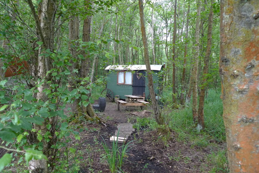 Lyde Wood, near Basingstoke, East Moor, Old Basing, near Basingstoke ...