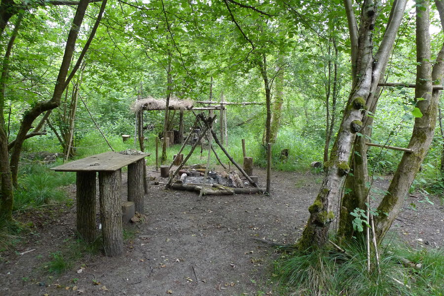 Lyde Wood, near Basingstoke, East Moor, Old Basing, near Basingstoke ...