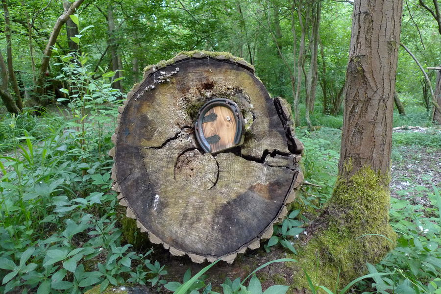 Lyde Wood, near Basingstoke, East Moor, Old Basing, near Basingstoke ...