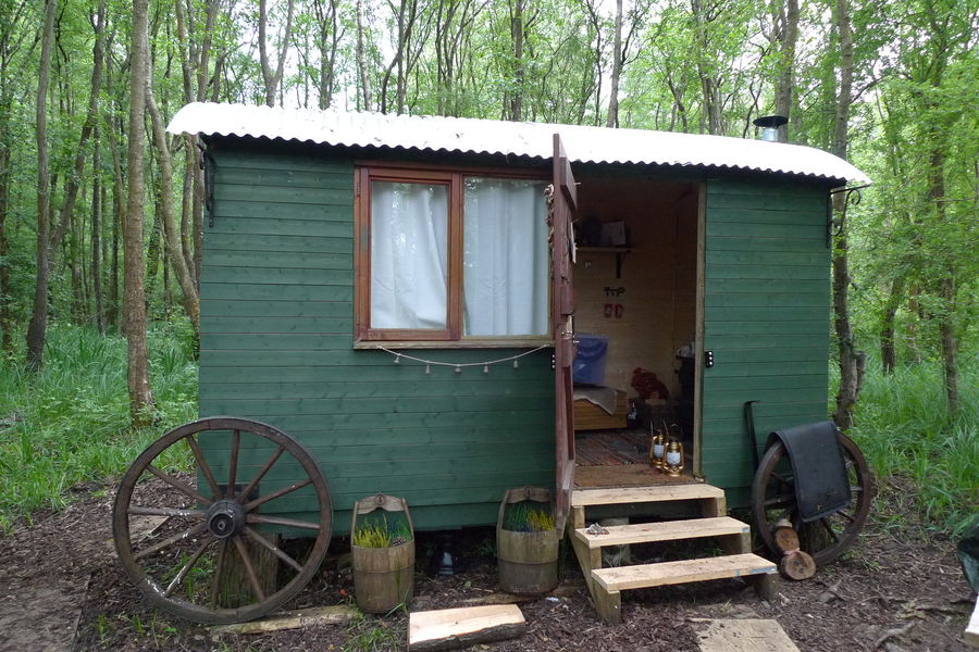 Lyde Wood, near Basingstoke, East Moor, Old Basing, near Basingstoke ...