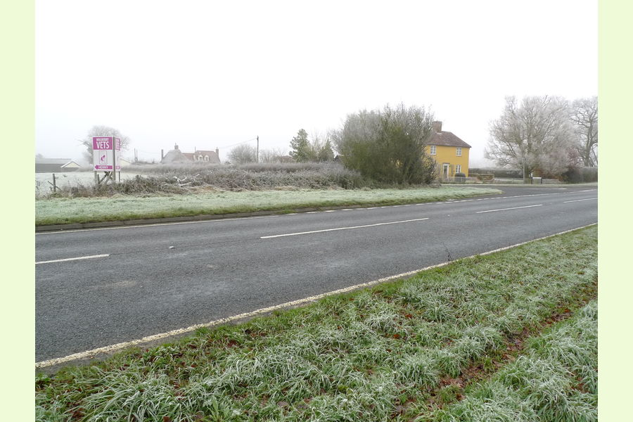 Pelham Wood at Bulmer Tye, Bulmer Tye, near Sudbury, Essex | East ...