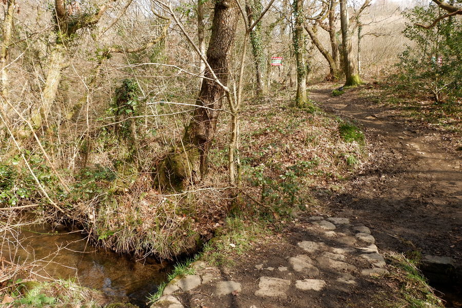 Cwm Clydach woodland, Rhyd-y-Gwin, Craig-Cefn-Parc, Swansea | Wales and ...