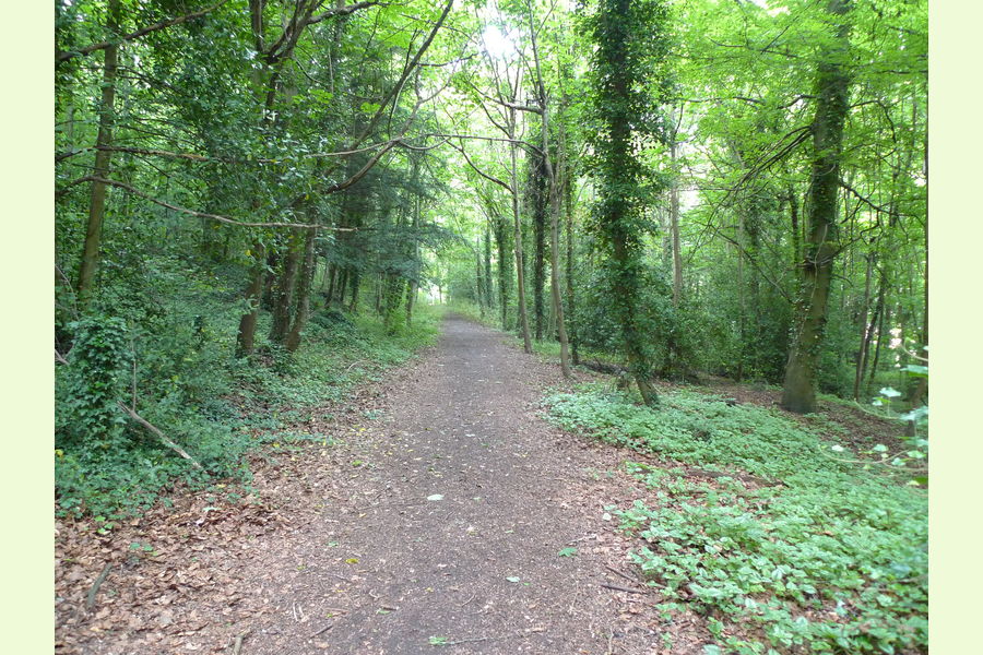 Magpie Wood, Rayners Avenue, Loudwater, Bucks | Central England ...