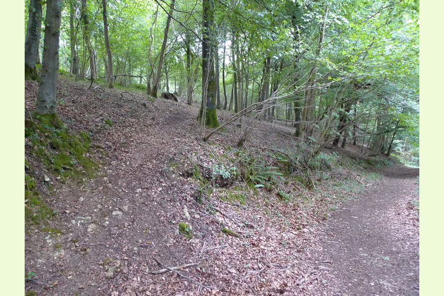 Folly Wood, Dursley , Whiteway, Dursely, Glos | Central England ...
