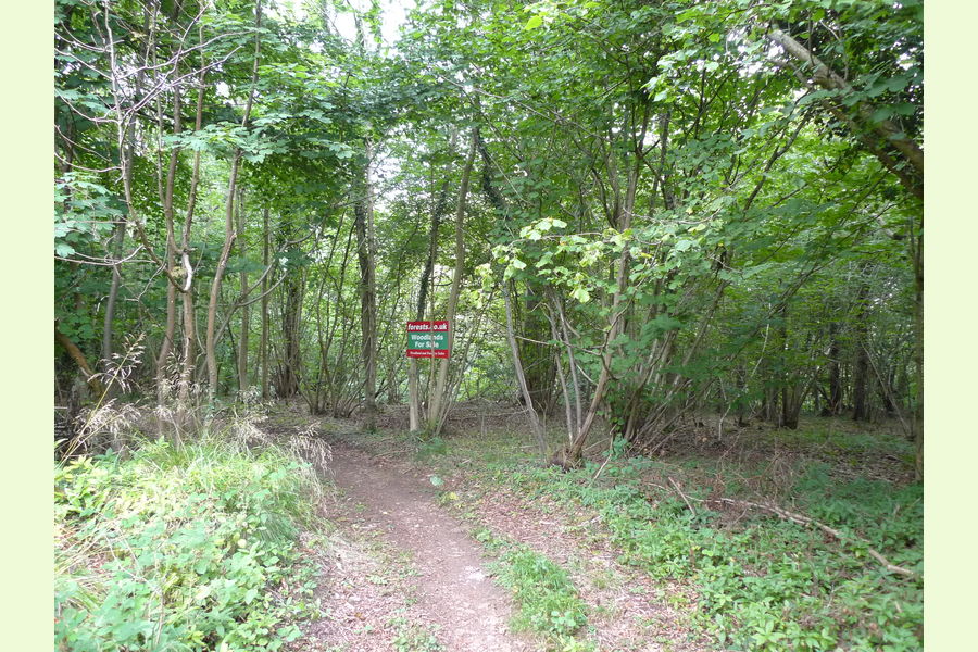 Folly Wood, Dursley , Whiteway, Dursely, Glos | Central England ...