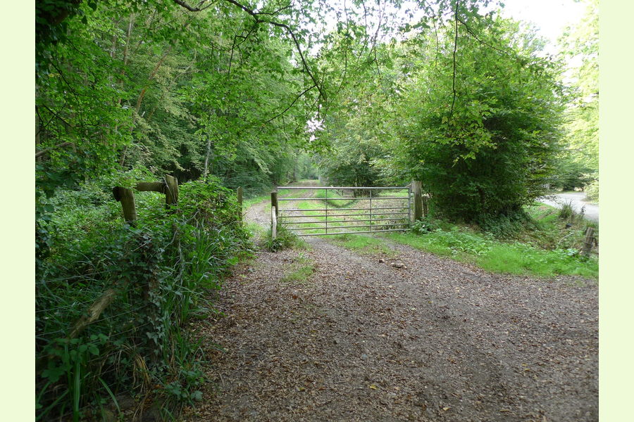 Hurst Wood, Beckley, East Sussex | South East England | Forests.co.uk