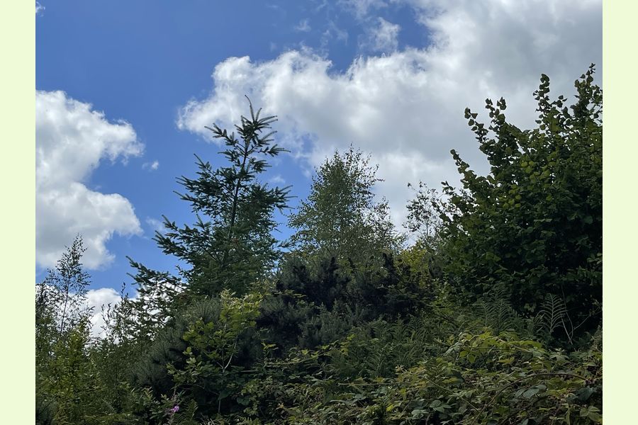 Troed Rhiw Groes, Carmarthenshire, Alltwalis, Carmarthenshire | Wales ...