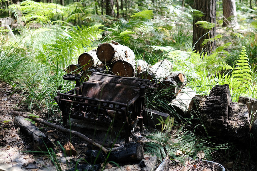 Curl Wood, Eridge, Tunbridge Wells | South East England | Forests.co.uk