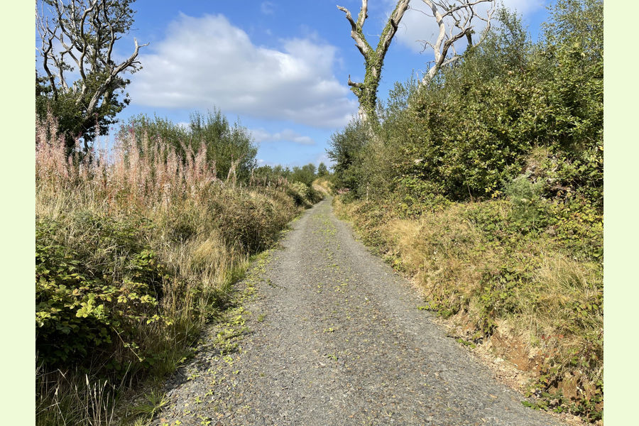 Coed y Neuadd, Gwynedd, Eisingrug, Talsarnau, Gwynedd | Wales and the ...