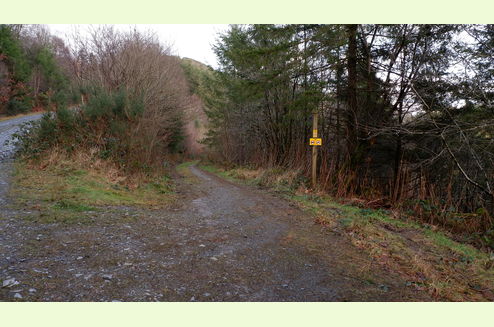 Coed yr Allt Fawr, Aberhosan, Gwynedd | Wales and the Welsh Marches ...