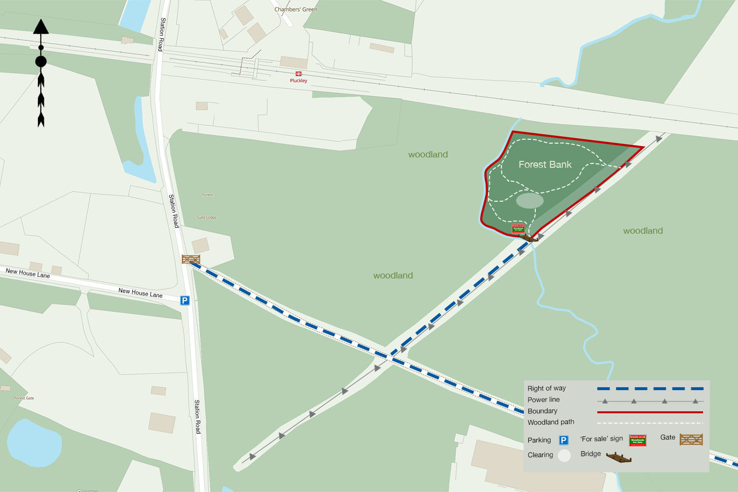 Forest Bank - Kent, Pluckley, Kent | South East England | Forests.co.uk