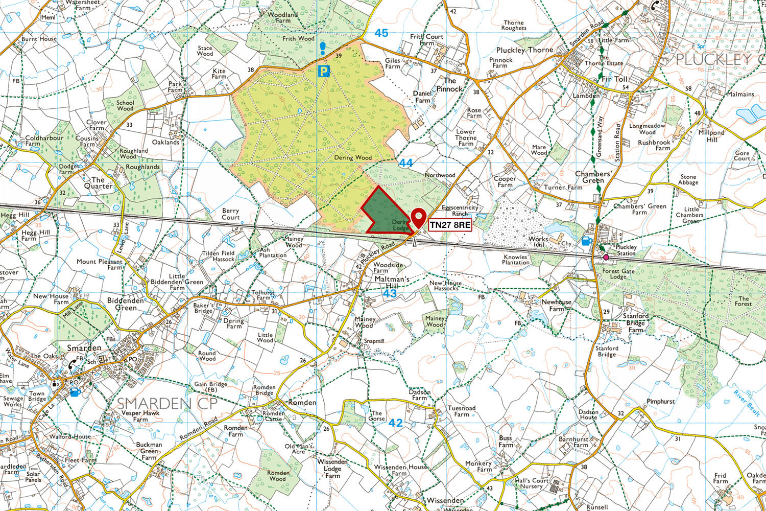 Dering Lodge Wood - Kent, Smarden, Ashford | South East England ...