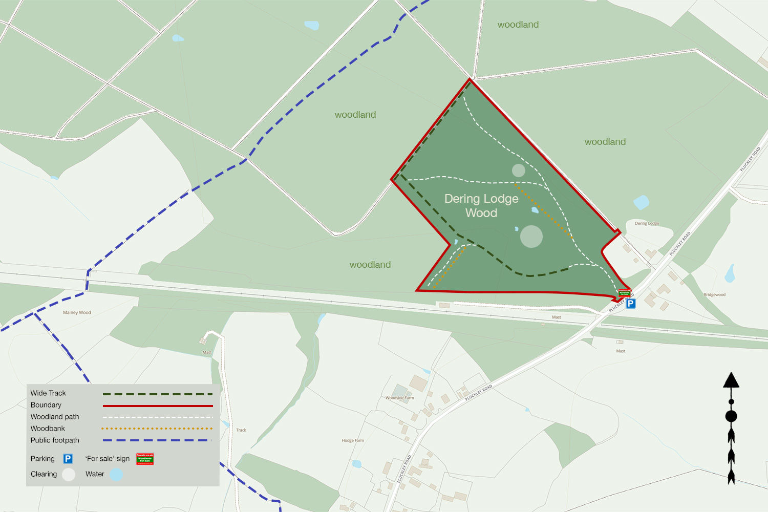 Dering Lodge Wood - Kent, Smarden, Ashford | South East England ...