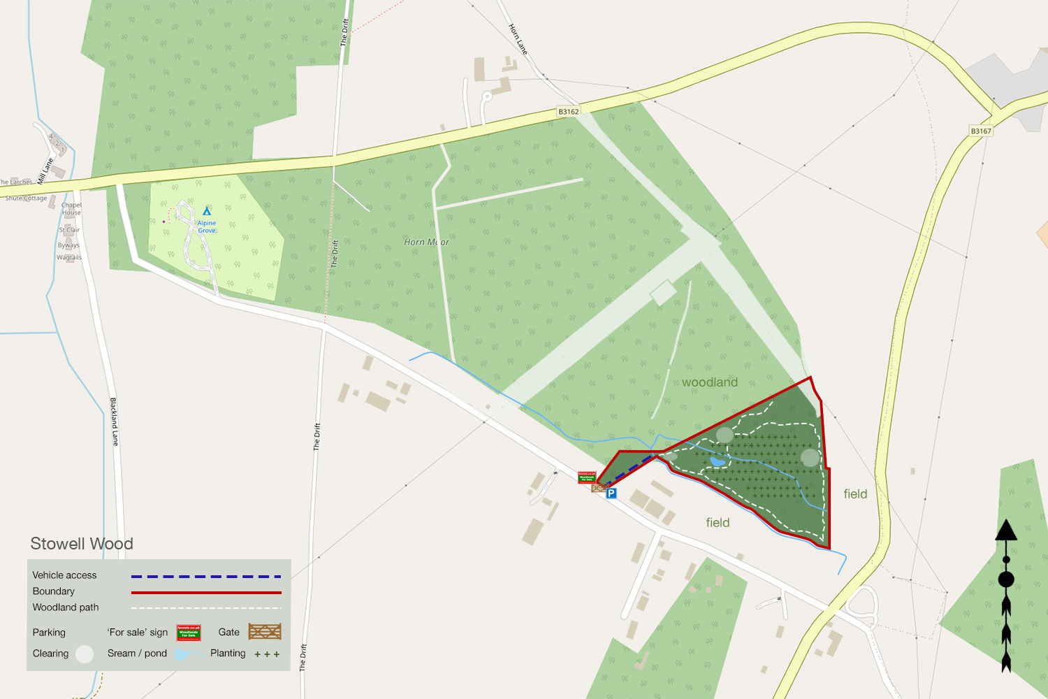 Stowell Wood - Somerset, Forton, Chard | South West England | Forests.co.uk