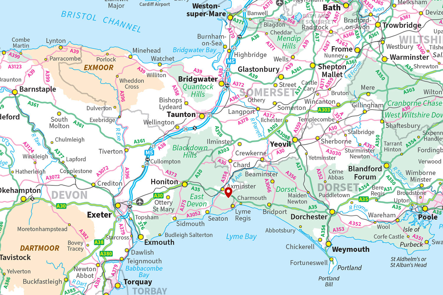 Dene Wood - Devon, Uplyme, Axminster | South West England | Forests.co.uk